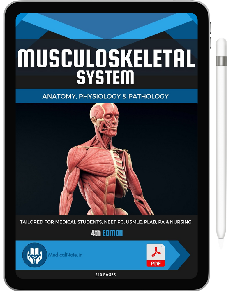 Medical Notes Sample