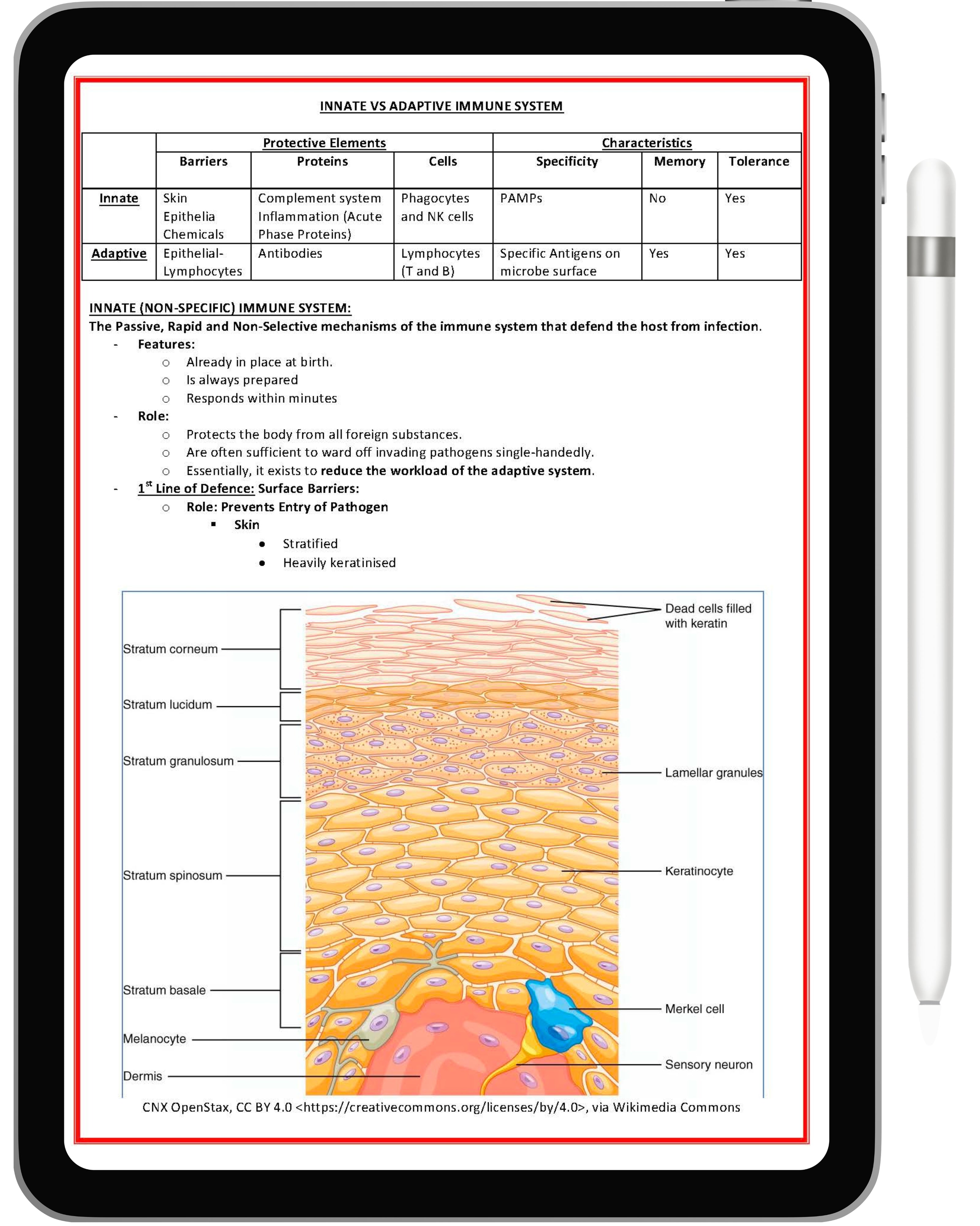 Immunology Rheumatology